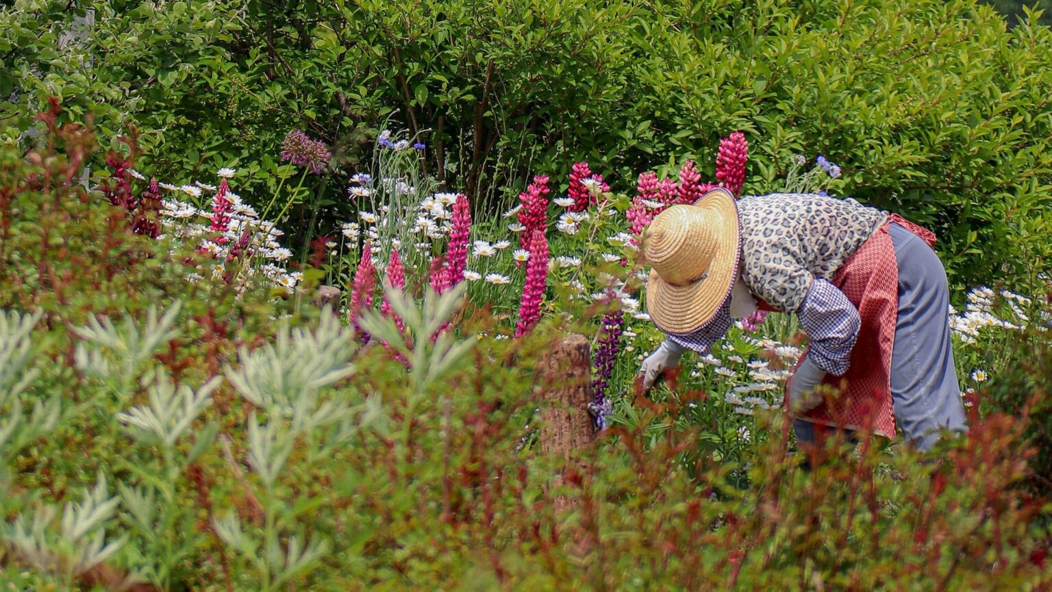 Treating Chronic Pain with Hyperbaric Oxygen Therapy (HBOT)